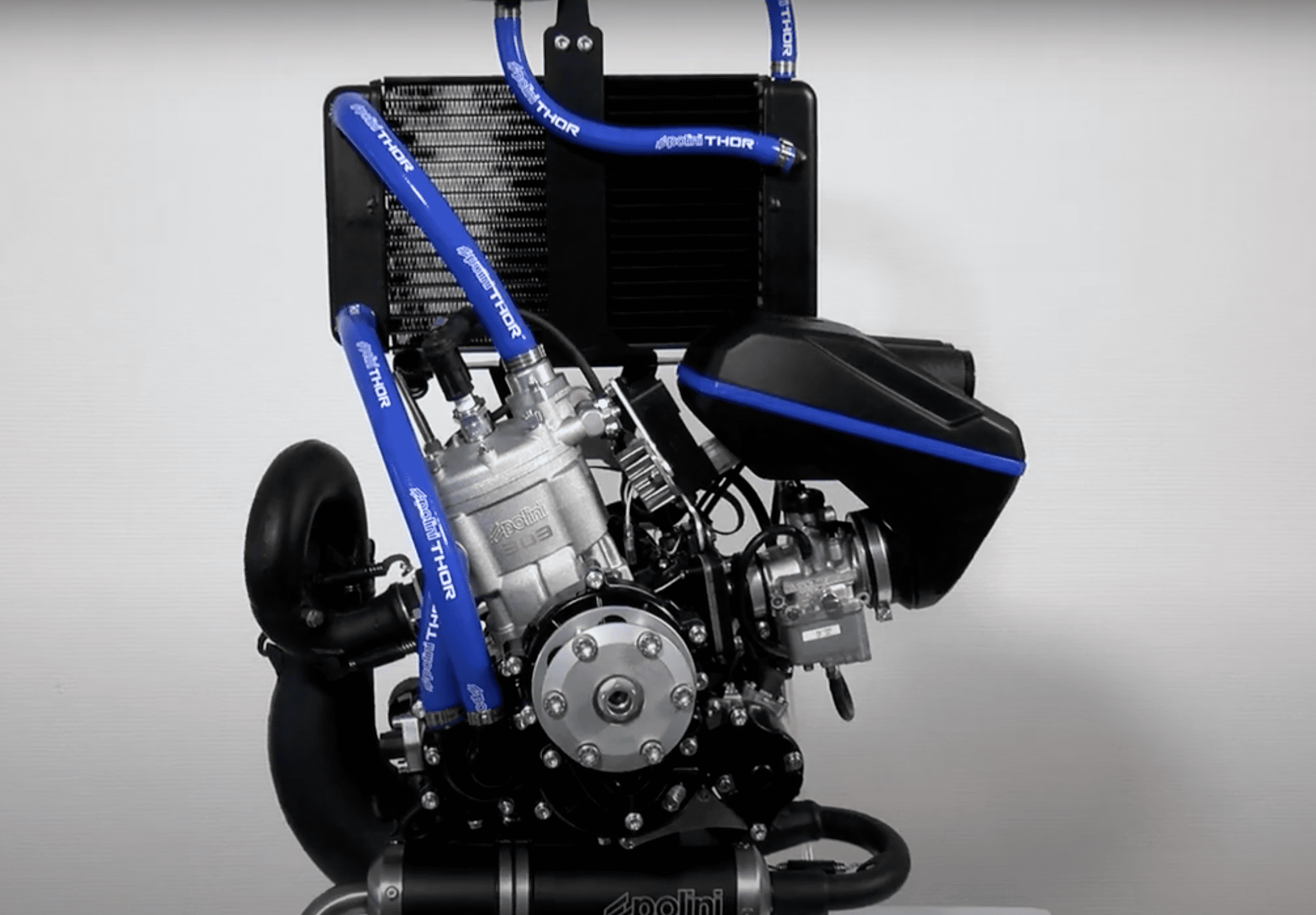 Las primeras imágenes y datos del nuevo Polini Thor 303 ...